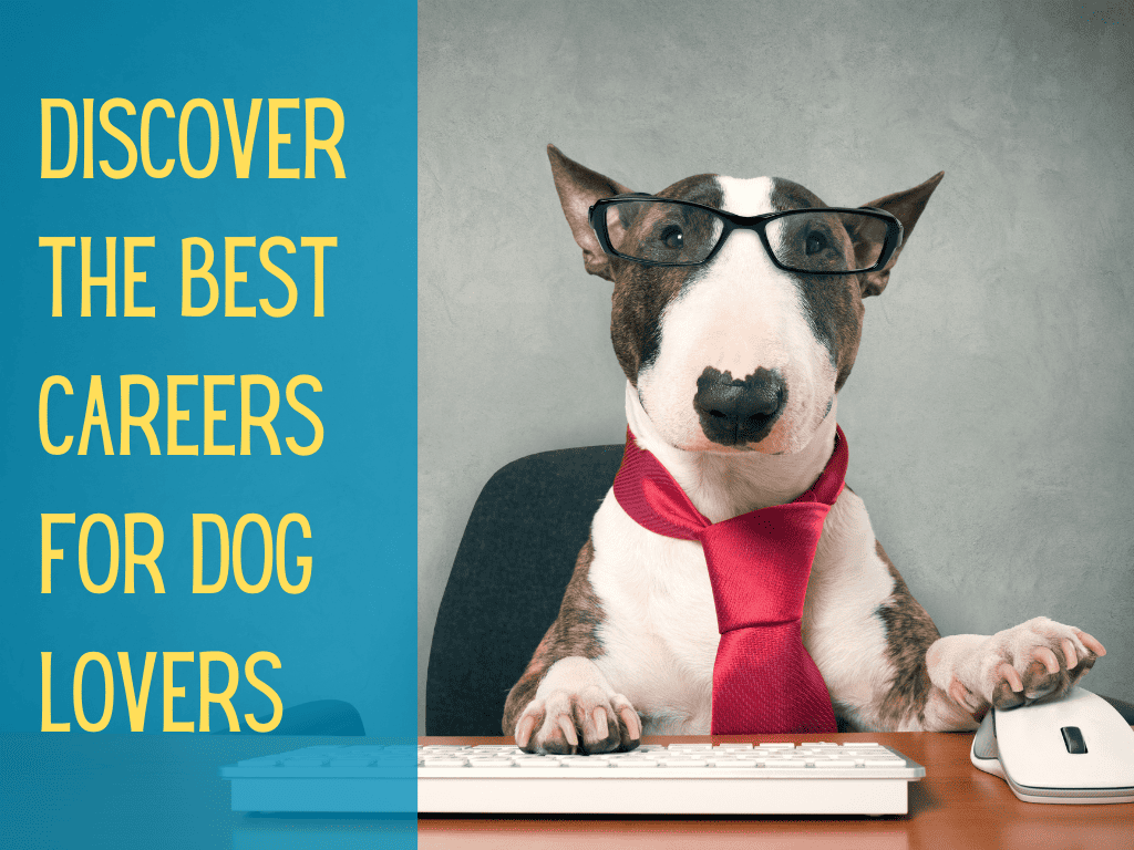 19 Best Jobs With Dogs | Career Paths For Dog Lovers