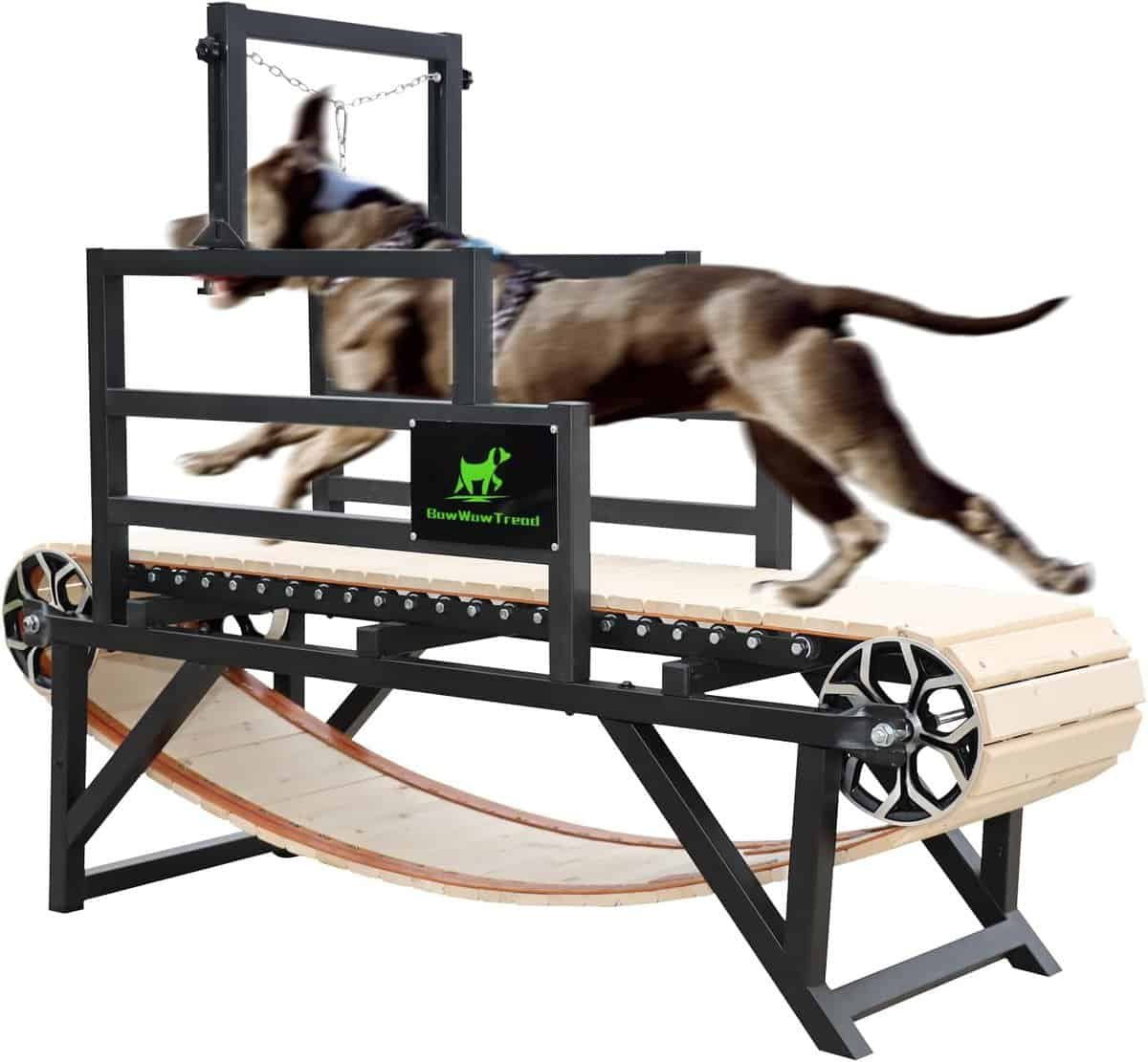 7 Best Dog Treadmills Of 2025 | Top Picks To Exercise Your Dog
