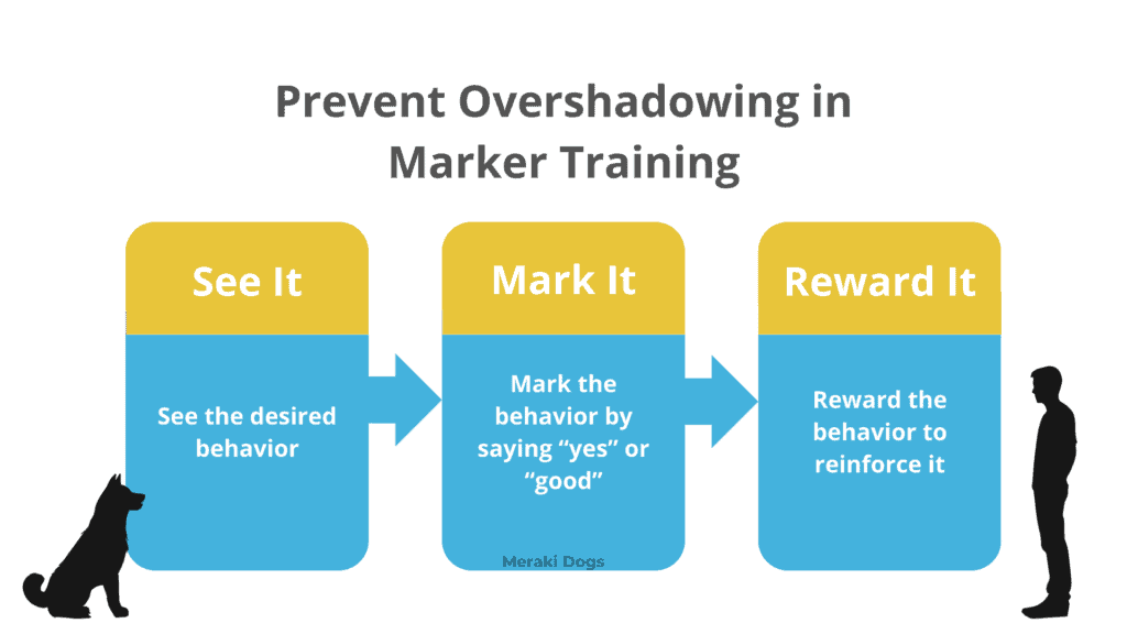 Marker Training For Dogs: Effective Tips In 2024
