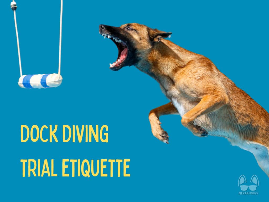 Dock Diving Etiquette: 6 Tips For A Positive Impression