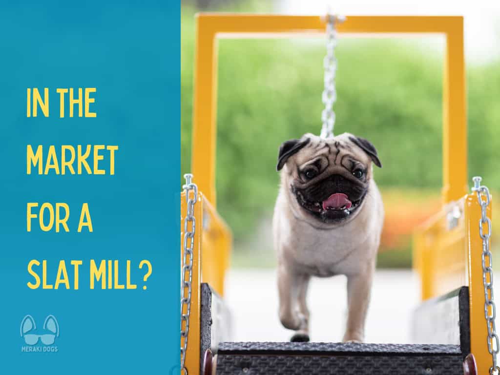 5 Best Slat Mills For Dogs In 2025