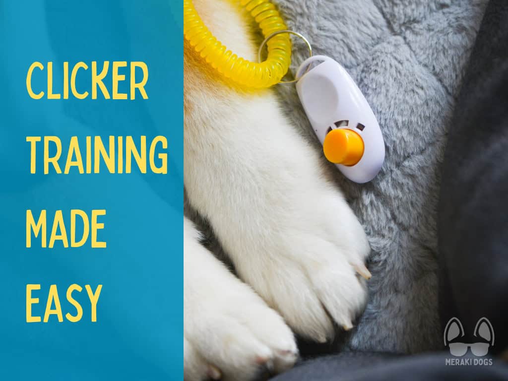 Puppy Clicker Training: Powerful Benefits And How-To Guide