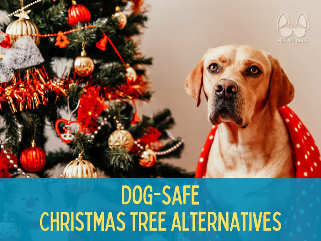 7 Pet-Safe Christmas Tree Alternatives: Festive Options