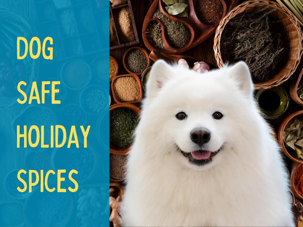 4 Safe Holiday Spices For Dogs (And 3 To Avoid)