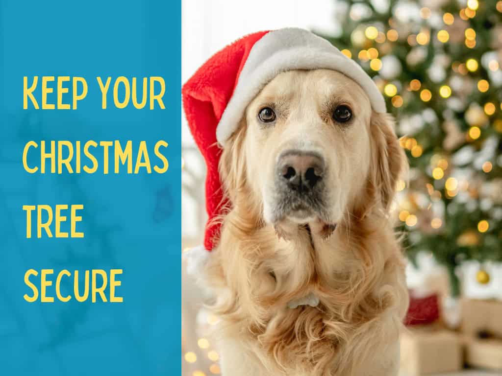 How To Secure Your Christmas Tree From Dogs: A Complete 2024 Guide