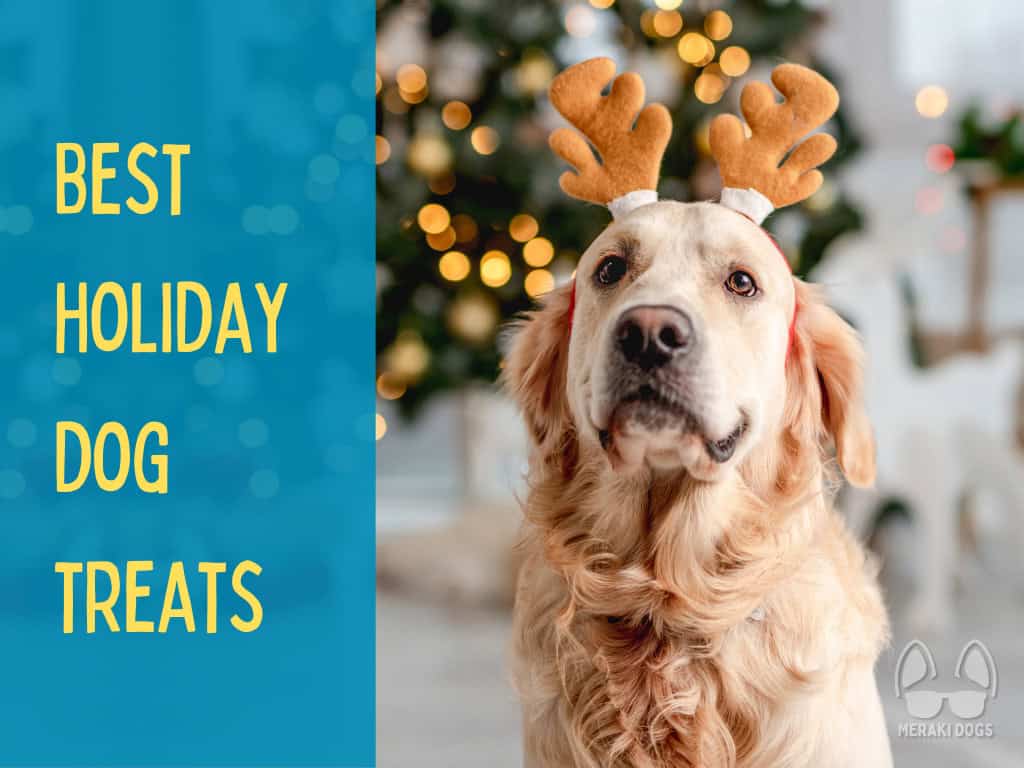5 Best Holiday Dog Treats: Festive Picks For Your Pup