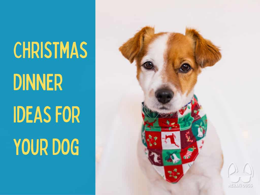 Christmas Dinner For Dogs: 8 Festive Ideas