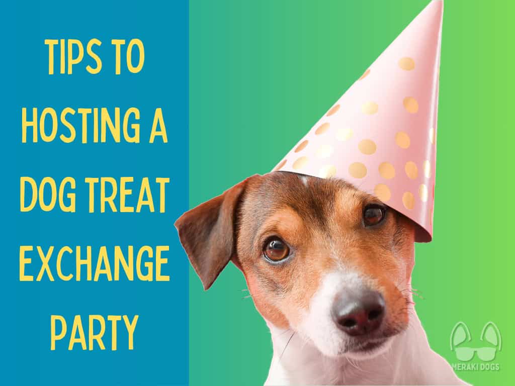 Hosting A Dog Treat Exchange Party: 8 Festive And Fun Tips