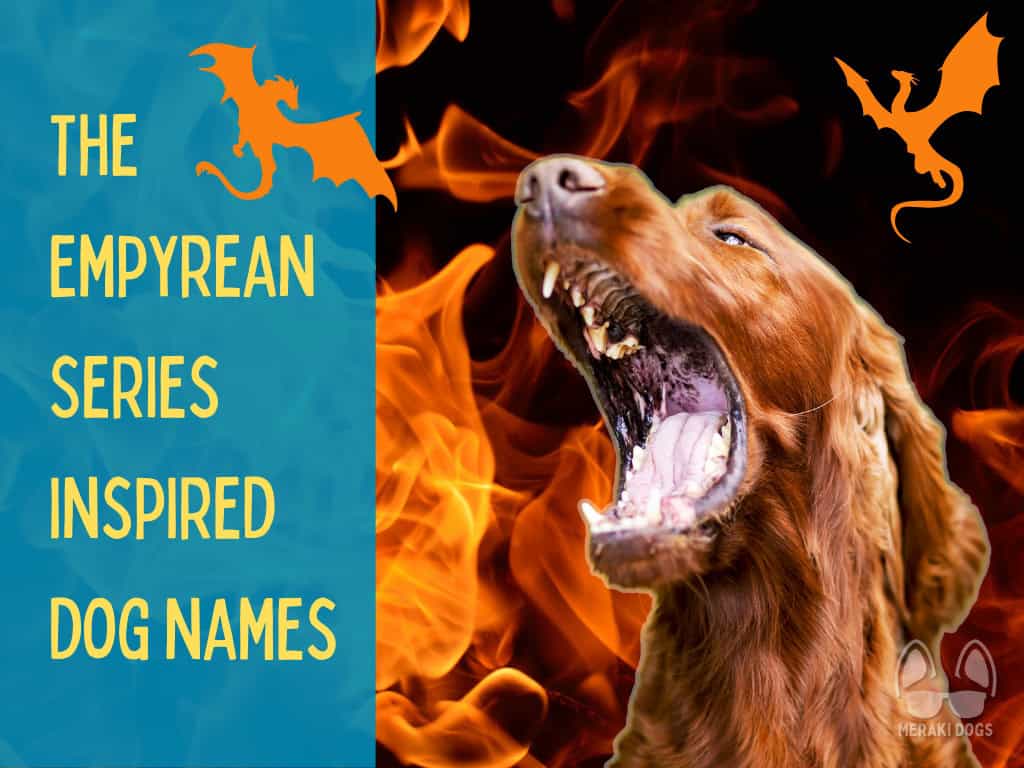 130 Empyrean Series Inspired Dog Names | Fourth Wing Names