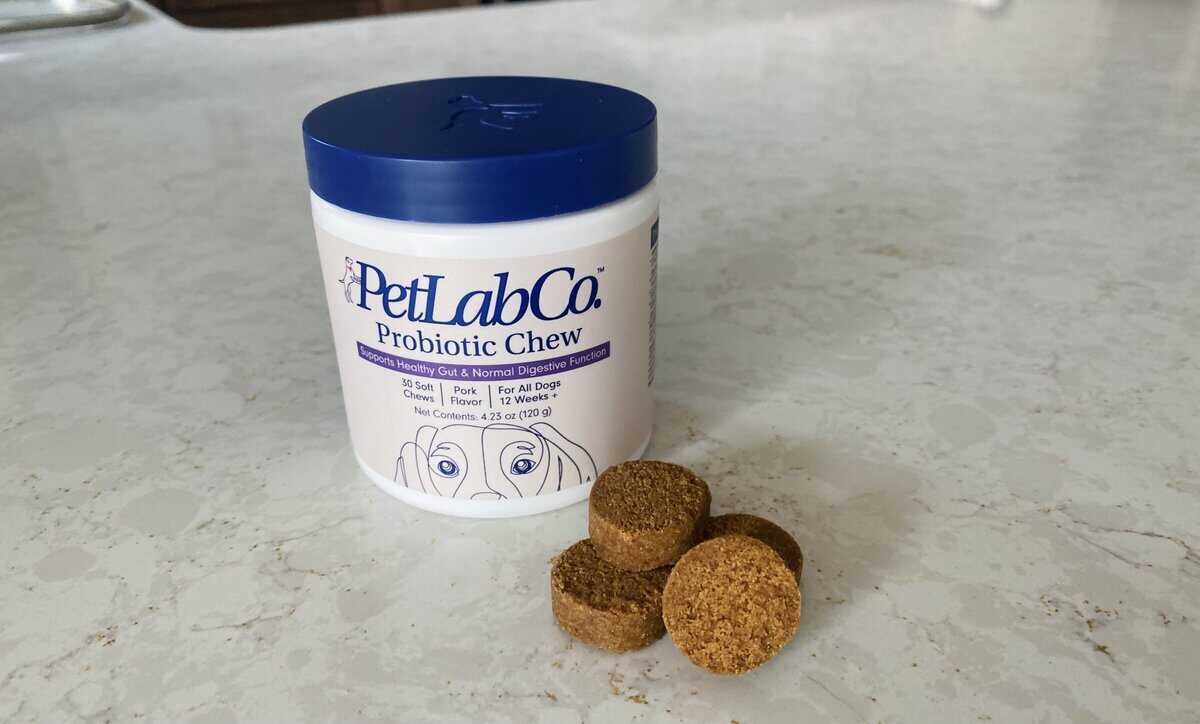 PetLabCo. Probiotic Chews Review: Did They Help My Dog’s Digestive Health?